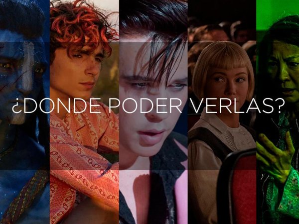 Oscars 2023: ¿Dónde ver las producciones nominadas a mejor película ... Oscars 2023: ¿Dónde ver las producciones nominadas a mejor película ...